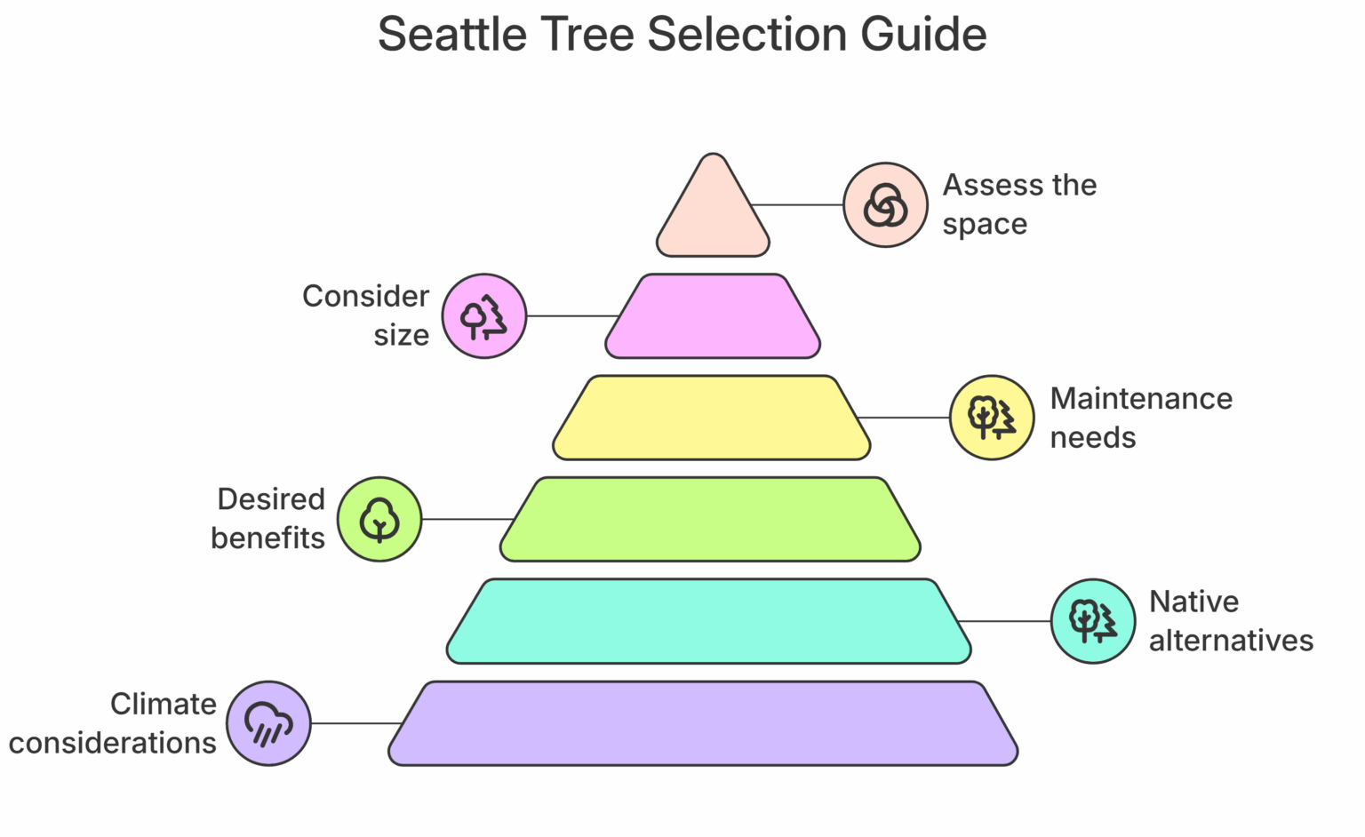 Seattle Native Trees Guide: Best Species, Planting & Care